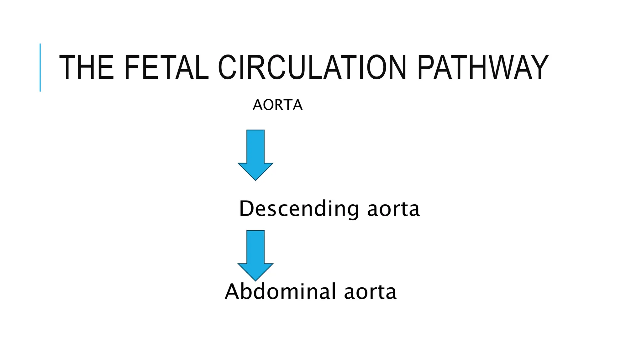 Fetal Circulation, pathway, shunts and remnants | PPTX