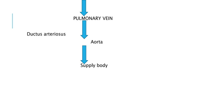 Fetal Circulation, pathway, shunts and remnants | PPT