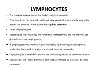 ANATOMY PRESENTATION ON THE LYMPHATIC SYSTEM.pptx