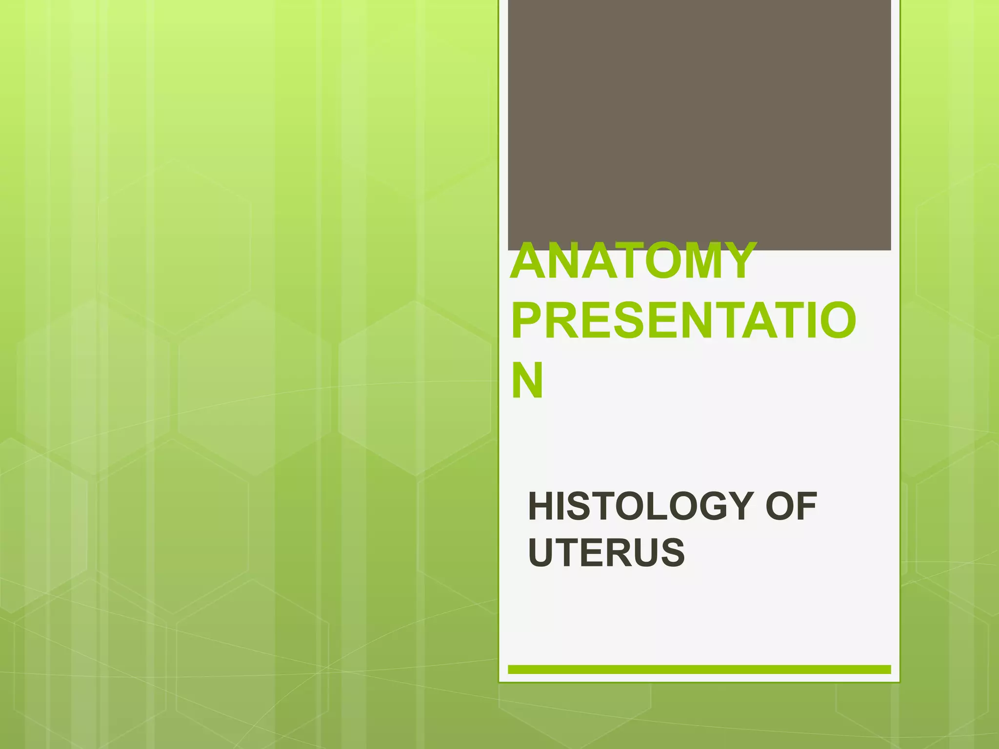 Histology Of Uterus Pptx