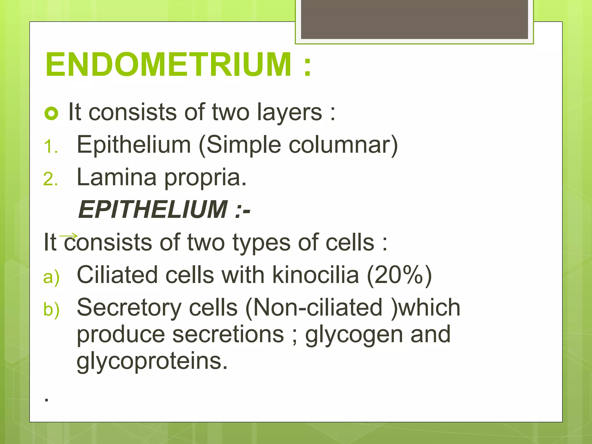 Histology of Uterus | PPTX