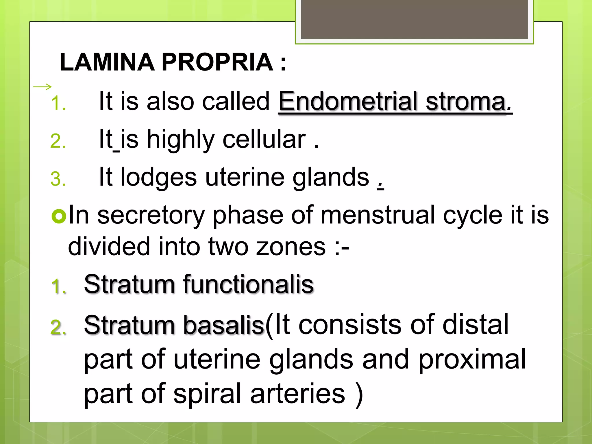 Histology of Uterus | PPTX
