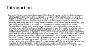 Anatomy Presentation with Full Introduction. | PPT