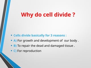 Anatomy presentation_44ef8144-770c-477b-86eb-1b6be02ab2c8.ppt