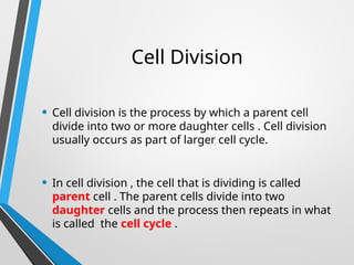 Anatomy presentation_44ef8144-770c-477b-86eb-1b6be02ab2c8.ppt
