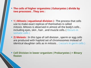 Anatomy presentation_44ef8144-770c-477b-86eb-1b6be02ab2c8.ppt