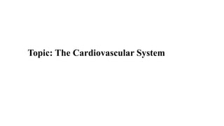 anatomy presentation [Autosaved]thesis.pptx