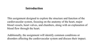 anatomy presentation [Autosaved]thesis.pptx