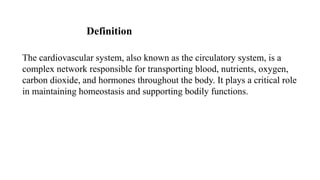 anatomy presentation [Autosaved]thesis.pptx