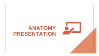 anatomy of GIT through Radiology imaging.pdf