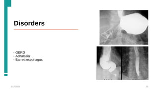 anatomy of GIT through Radiology imaging.pdf