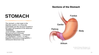 anatomy of GIT through Radiology imaging.pdf