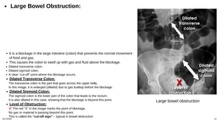 anatomy of GIT through Radiology imaging.pdf