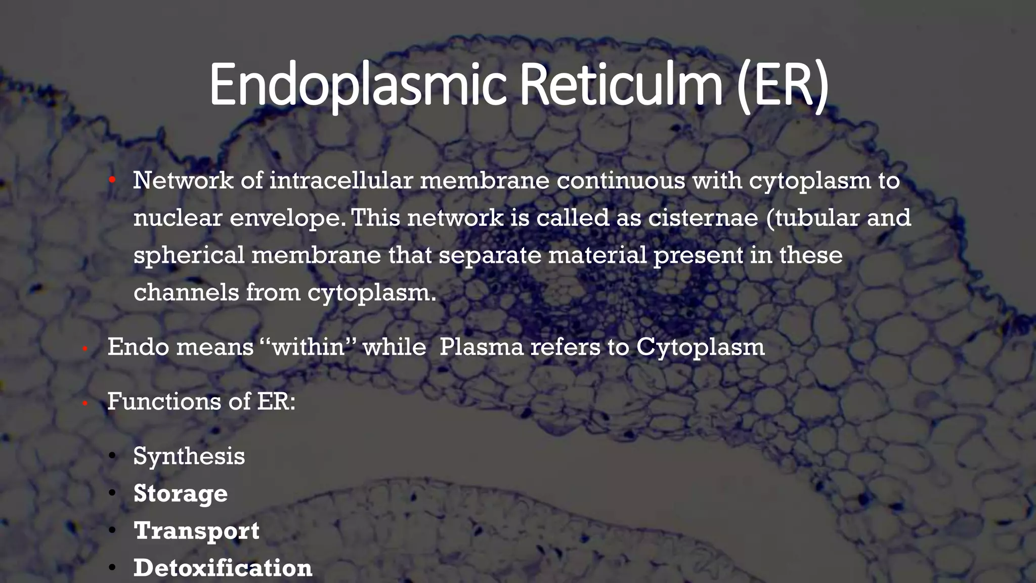 Anatomy presentation (Introduction to Cell Structure) 2 1.pptx ...