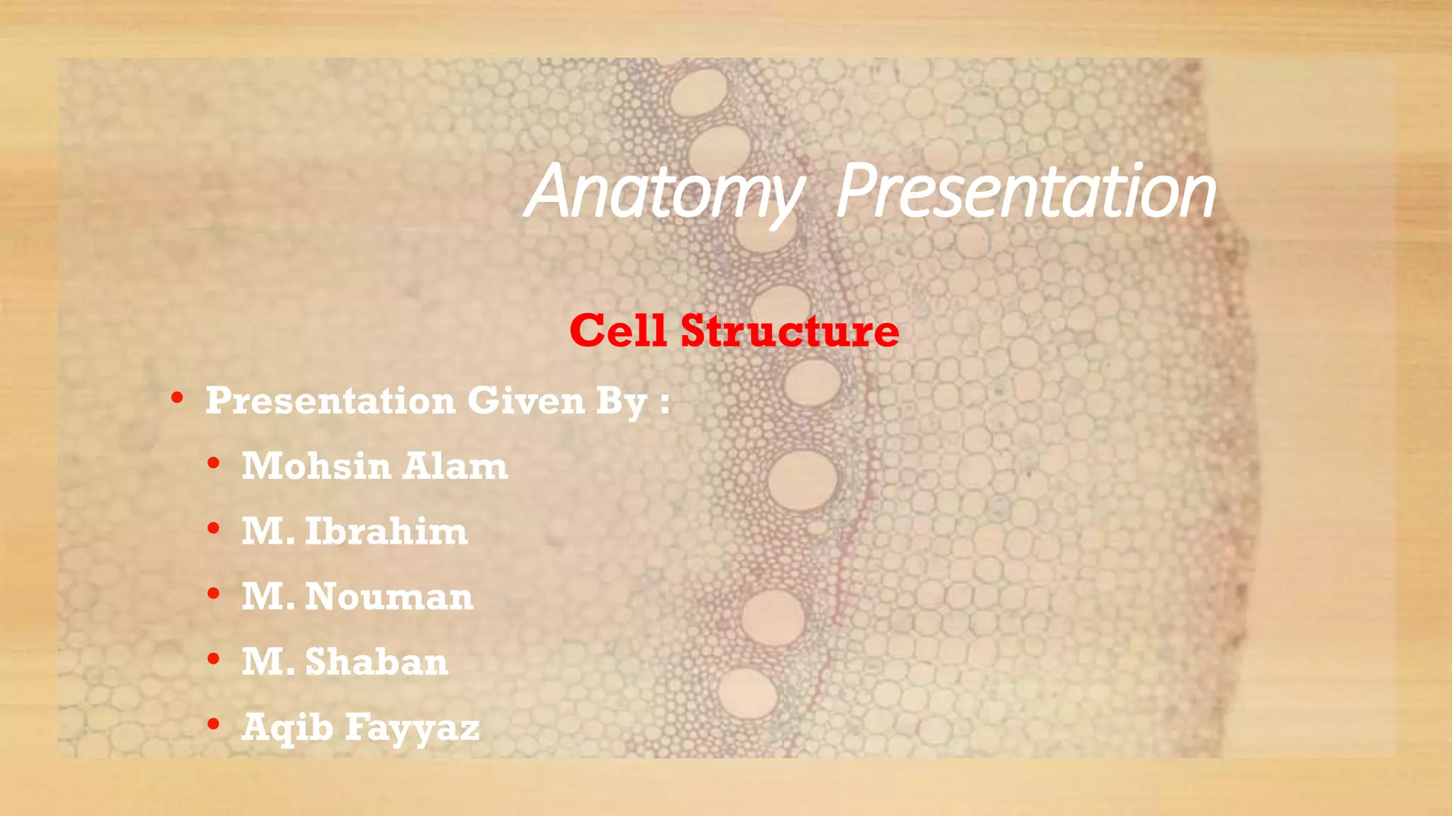 Anatomy presentation (Introduction to Cell Structure) 2 1.pptx ...
