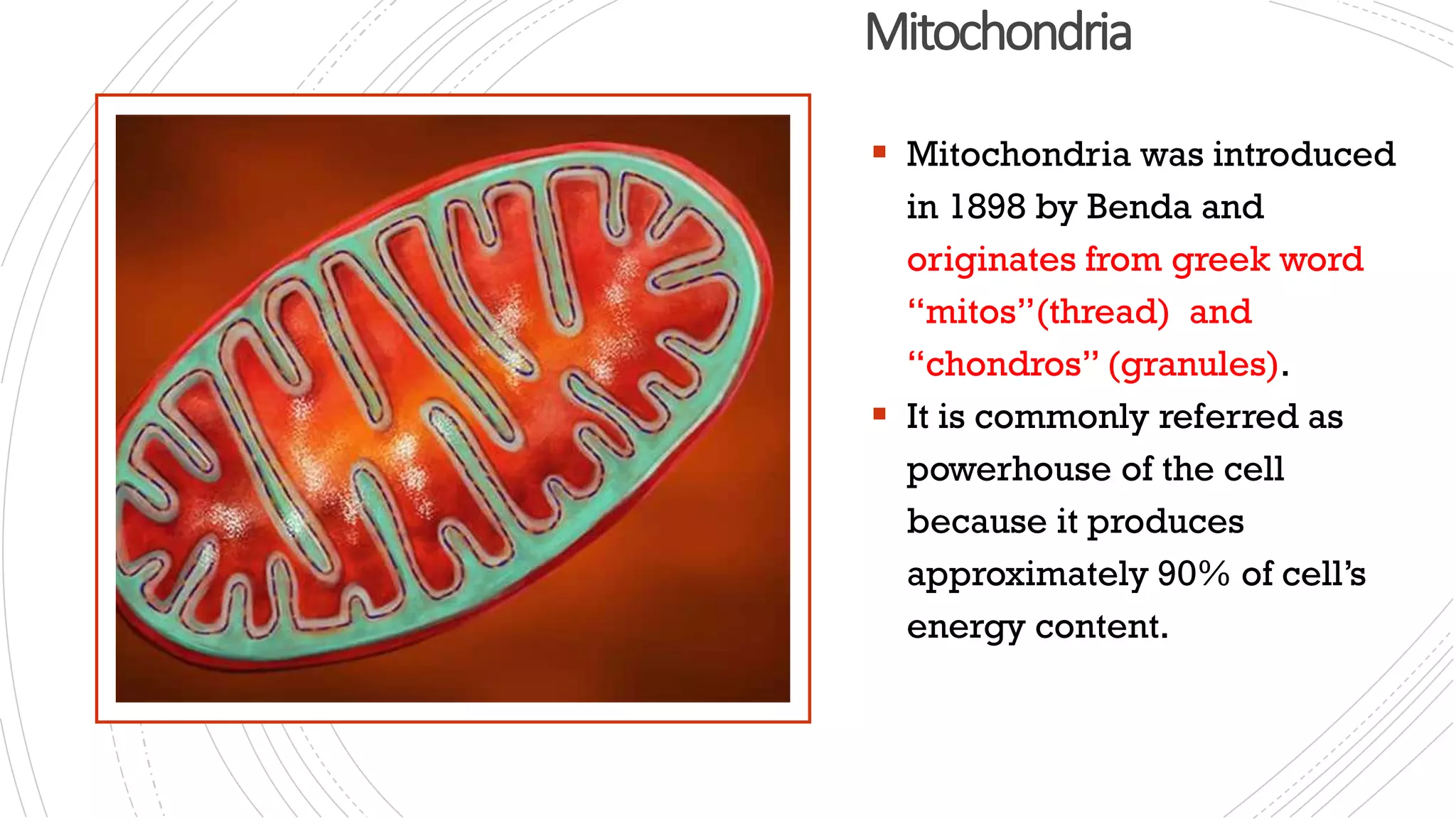Anatomy presentation (Introduction to Cell Structure) 2 1.pptx ...