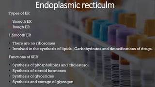 Anatomy presentation (Introduction to Cell Structure) 2 1.pptx