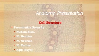 Anatomy presentation (Introduction to Cell Structure) 2 1.pptx