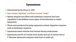 Anatomy presentation (Introduction to Cell Structure) 2 1.pptx ...