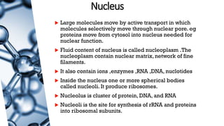Anatomy presentation (Introduction to Cell Structure) 2 1.pptx