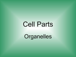Anatomy Presentation^LJCell_structure Group number 05..pptx ...