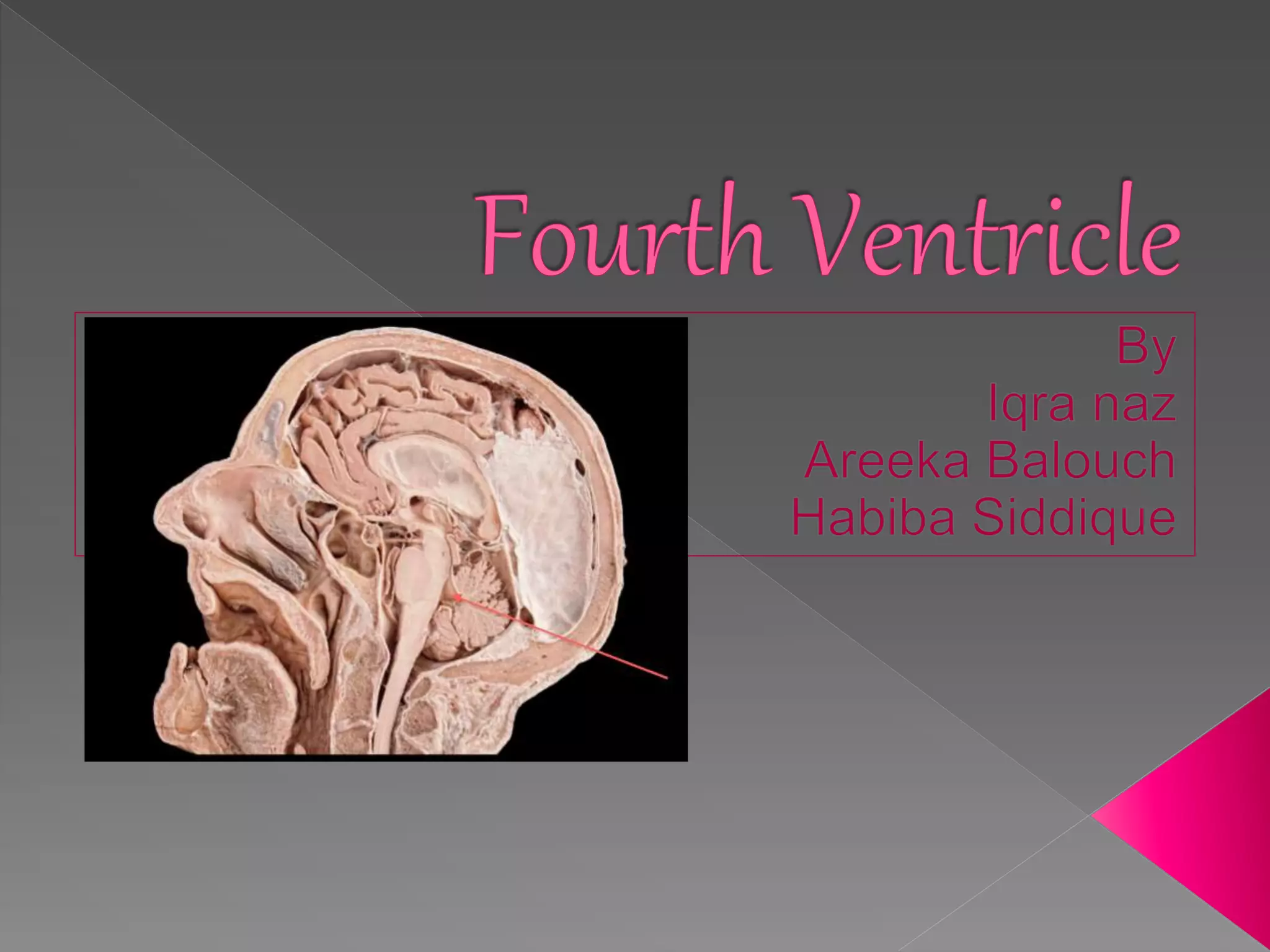 fourth Ventricle anatomy presentation | PPTX