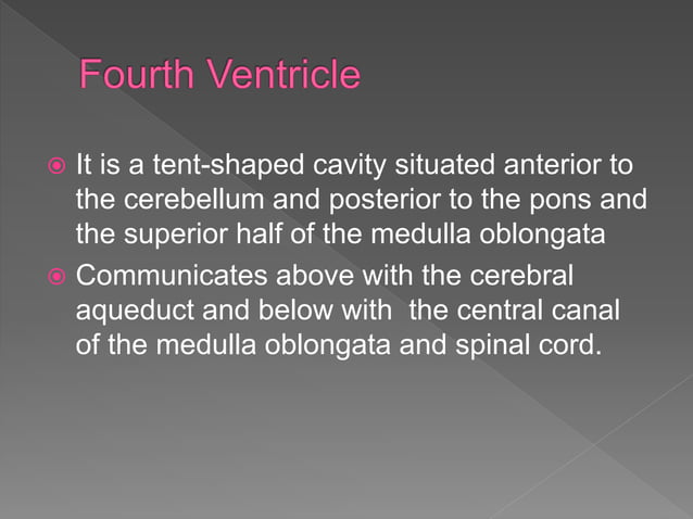 fourth Ventricle anatomy presentation | PPTX | Biological Sciences | Science
