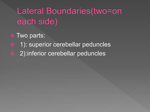 fourth Ventricle anatomy presentation | PPTX | Biological Sciences ...