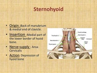 Anatomy project | PPT