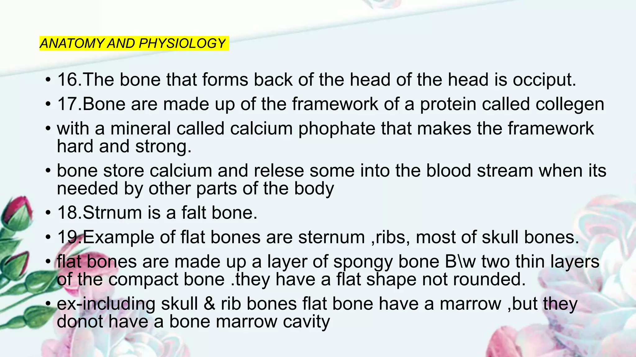 ANATOMY QUESTION BANK.pptx