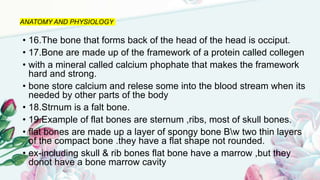 ANATOMY QUESTION BANK.pptx