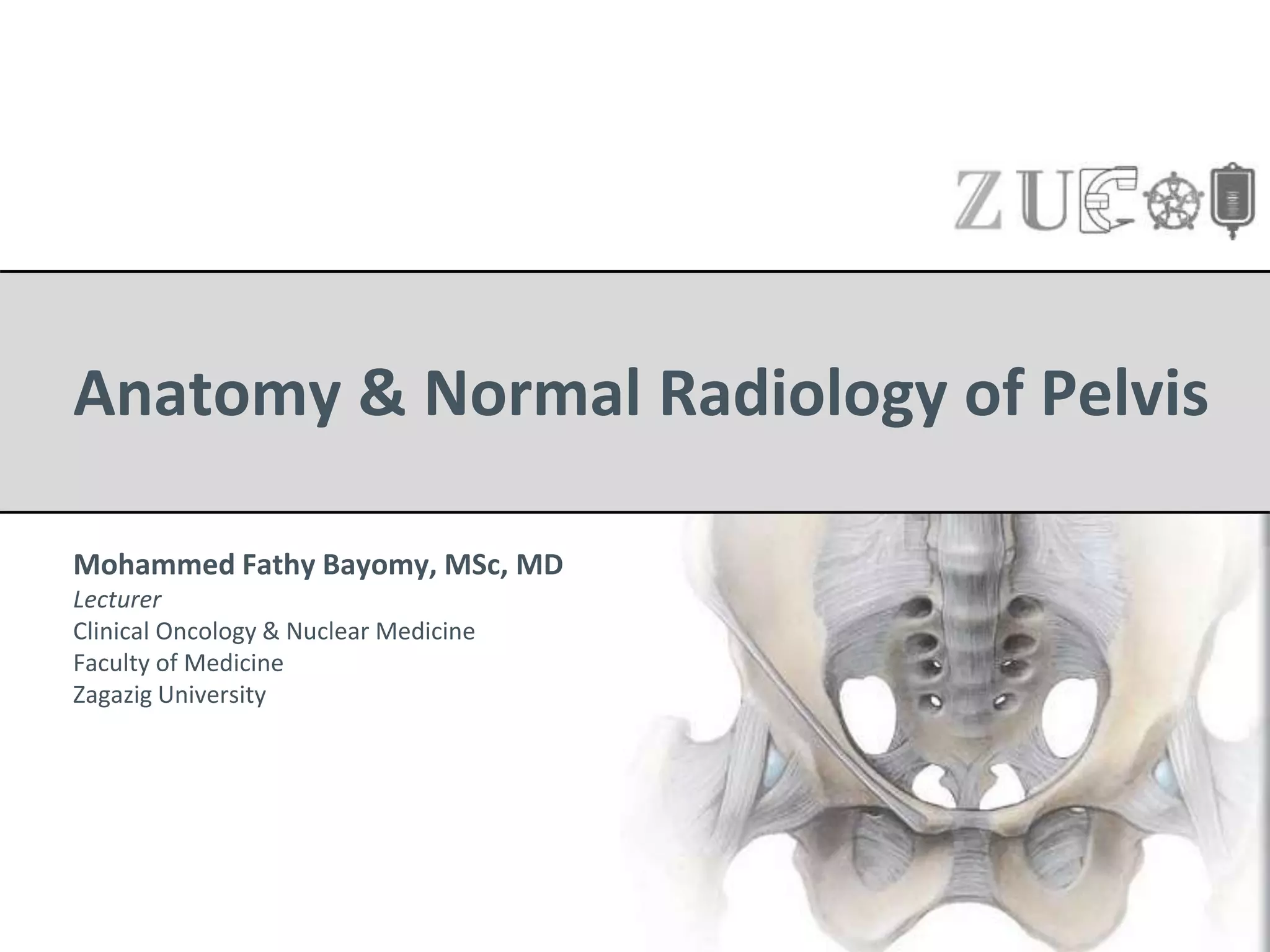 Anatomy & Radiology of pelvis | PPTX