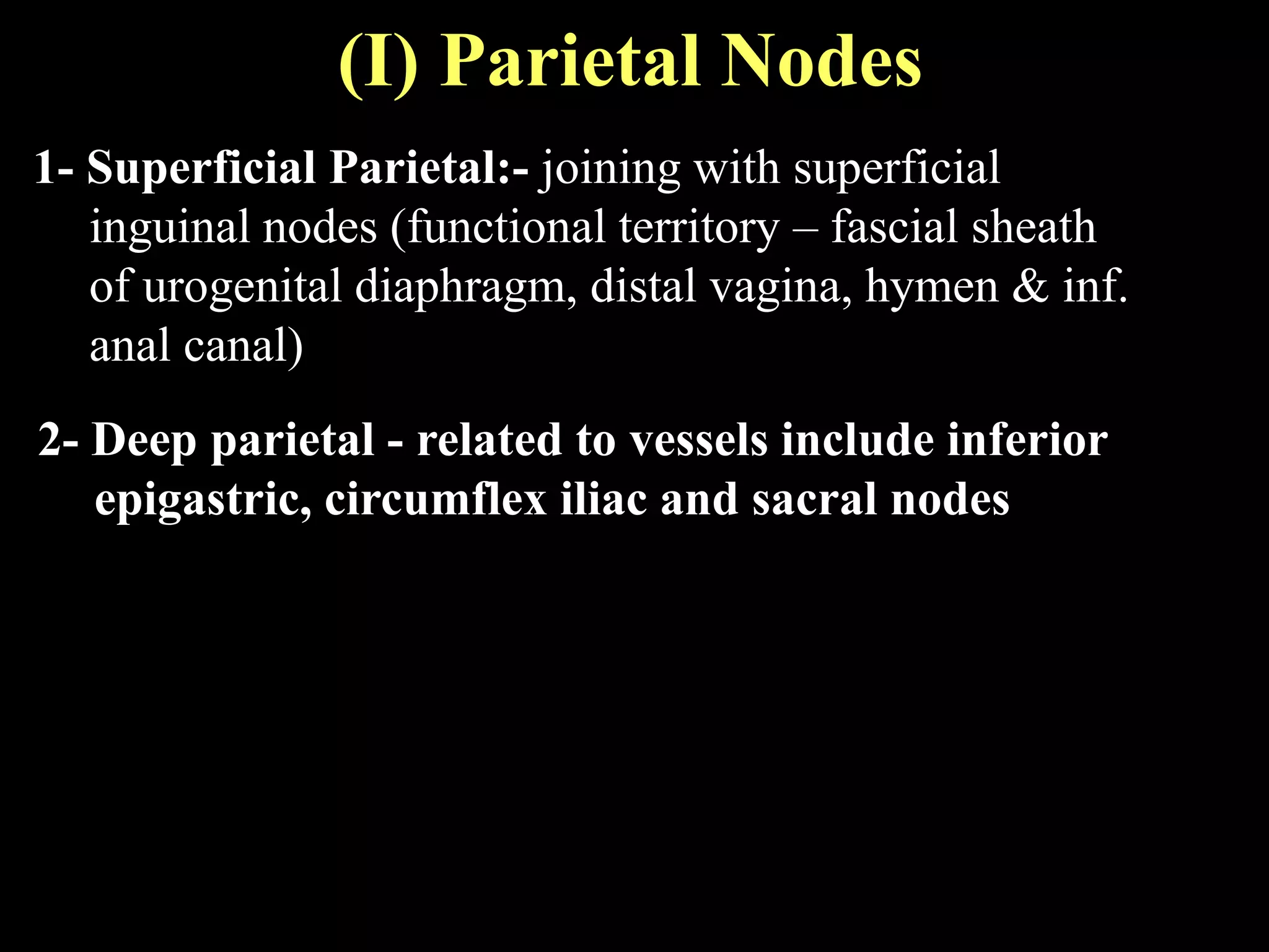 Anatomy & Radiology of pelvis | PPTX