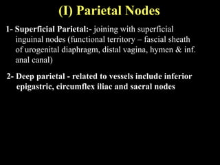 Anatomy & Radiology of pelvis | PPTX
