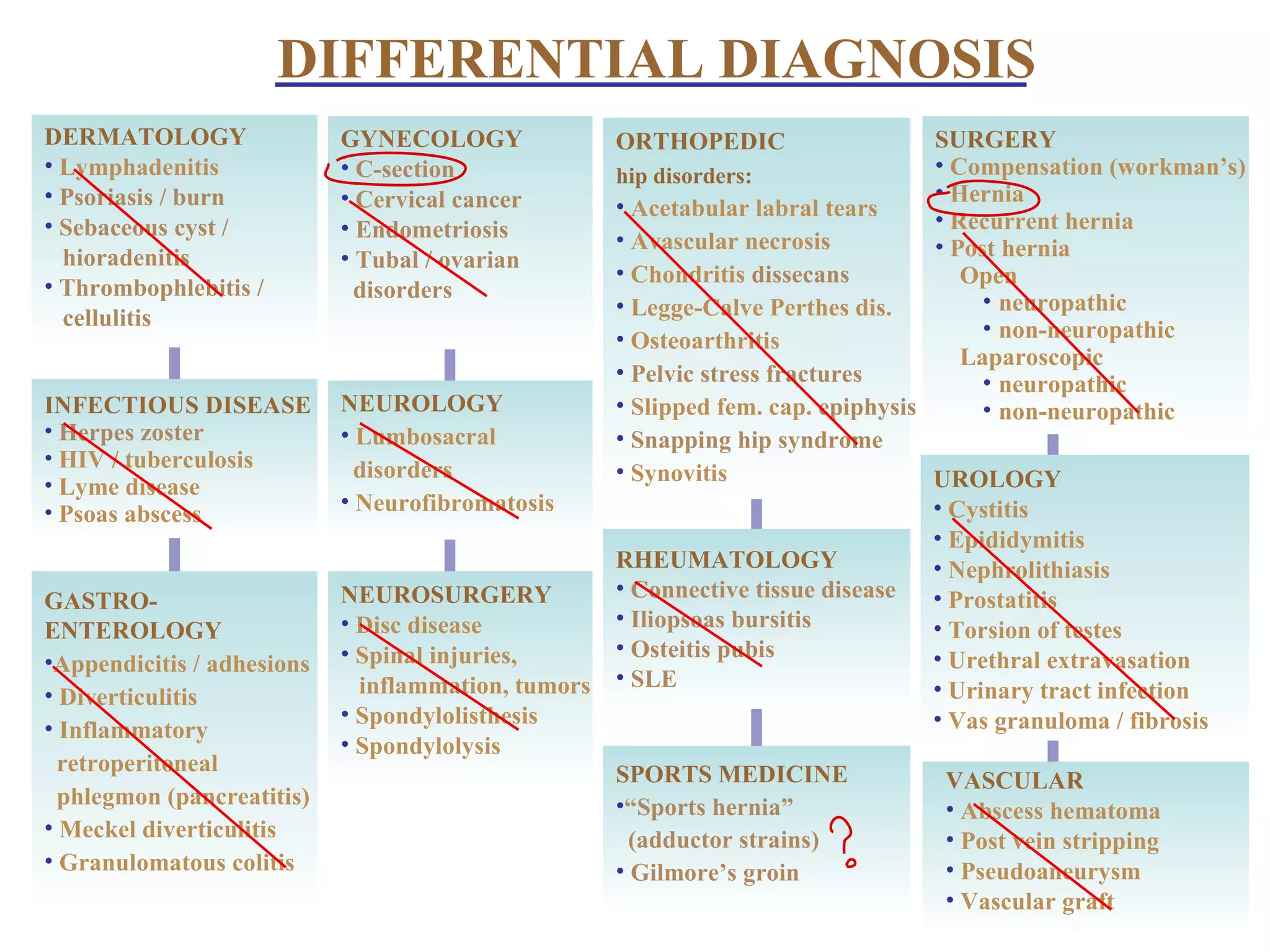 Anatomy and Related Etiology of Groin Pain | PPT