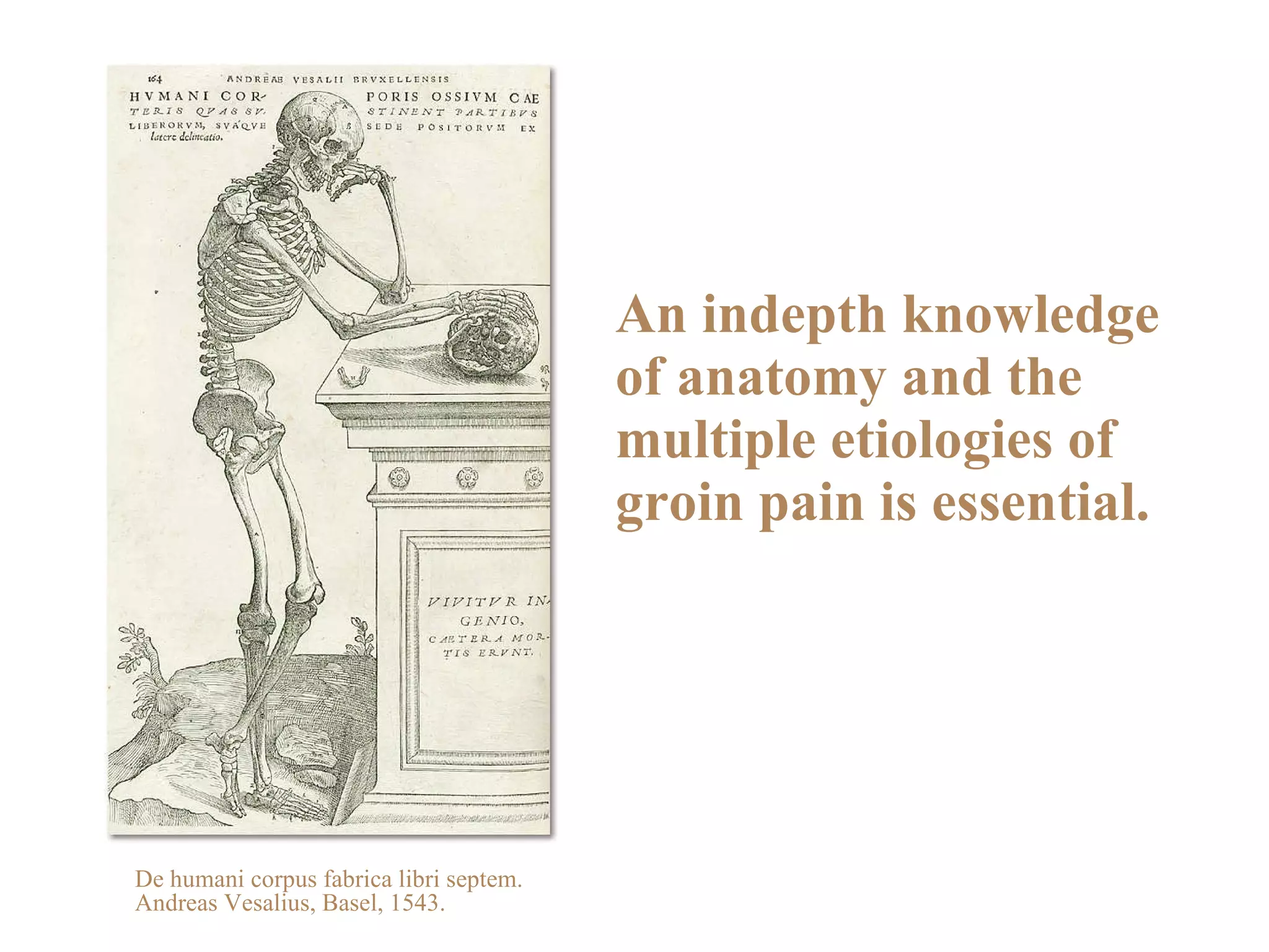 Anatomy and Related Etiology of Groin Pain | PPT