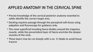Anatomy relevant to posterior cervical endoscopic Spine Surgery. | PPTX