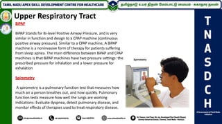 Anatomy Respiratory system.pptx