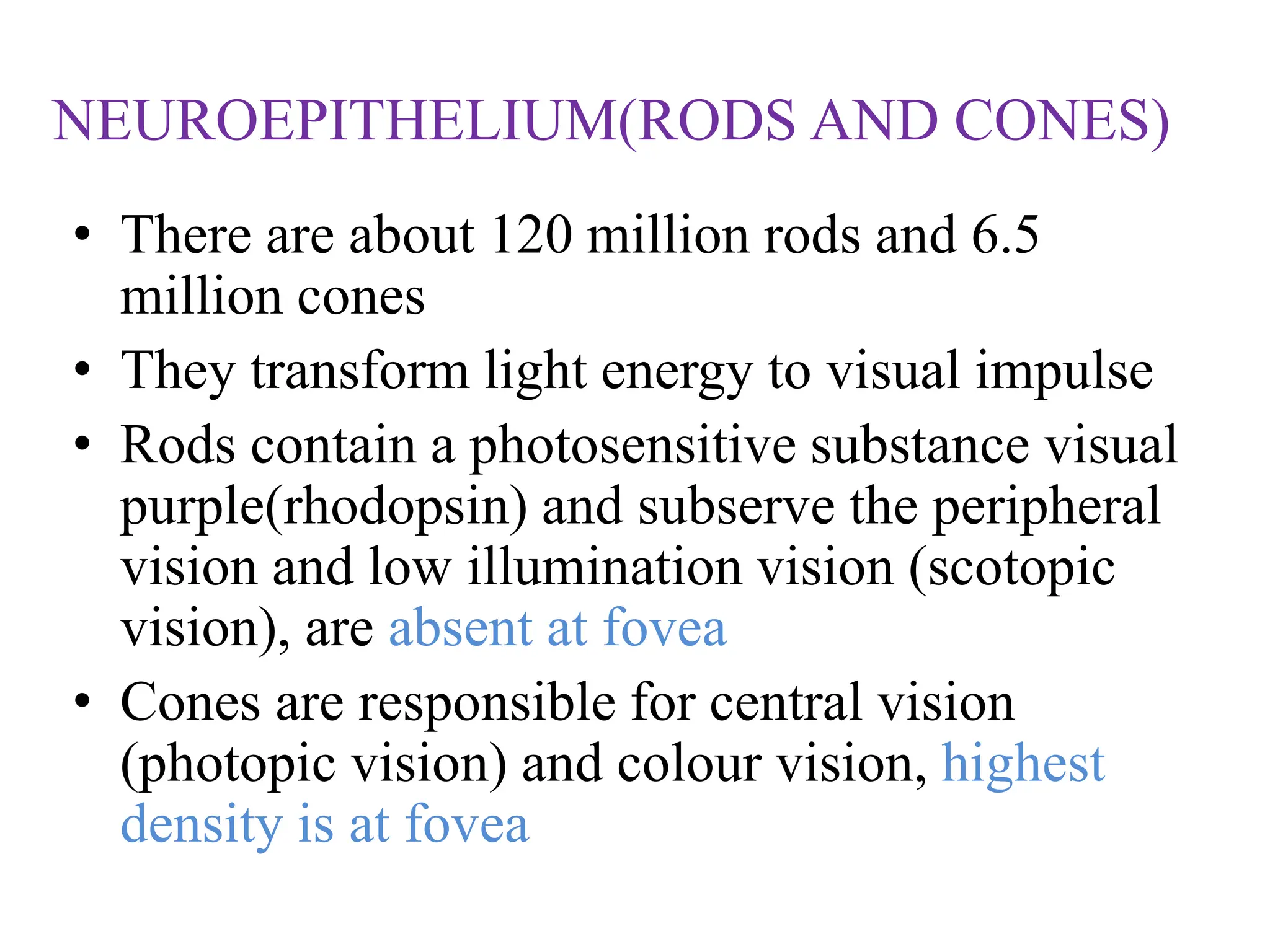 Anatomy of the Retina (ophthalmology).pptx