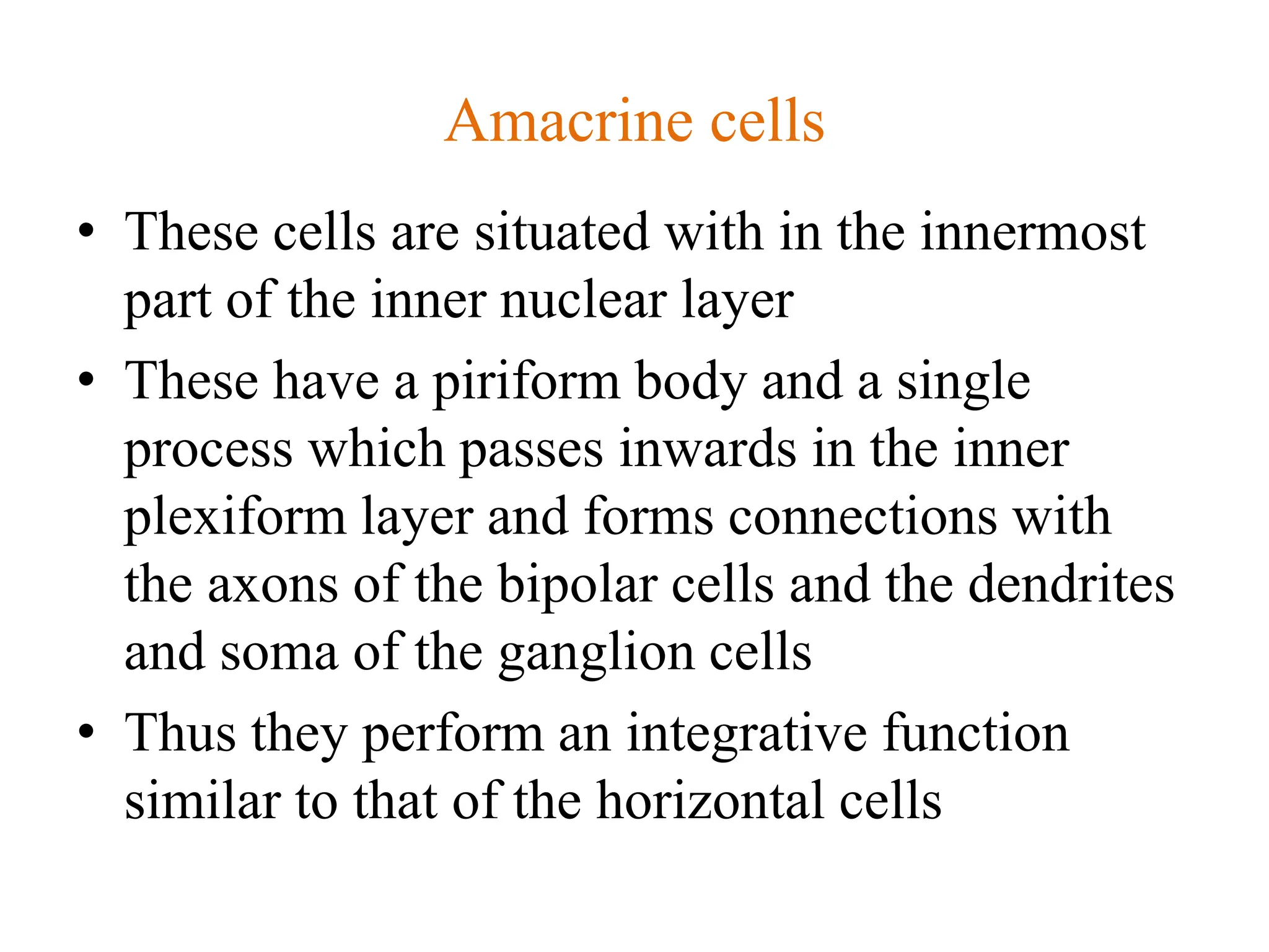 Anatomy of the Retina (ophthalmology).pptx | Eye and Vision Conditions ...