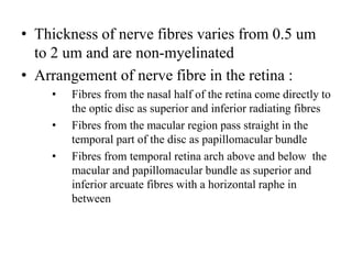 Anatomy of the Retina (ophthalmology).pptx