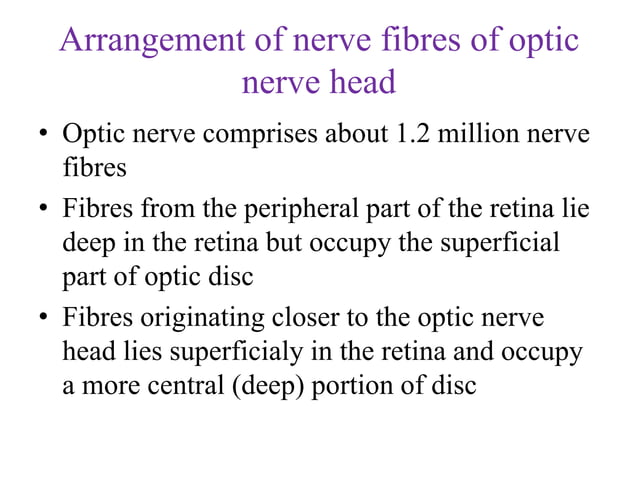 Anatomy of the Retina (ophthalmology).pptx