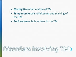 Anatomy of the Auditory System: A Review | PPTX