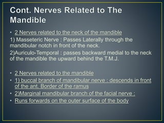 Anatomy Revision 2.pptxpppppppppppppppppppppppp | PPT