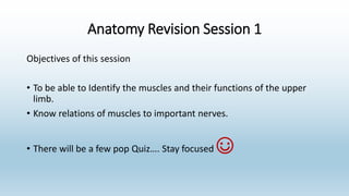 Anatomy revision 2 | PPTX