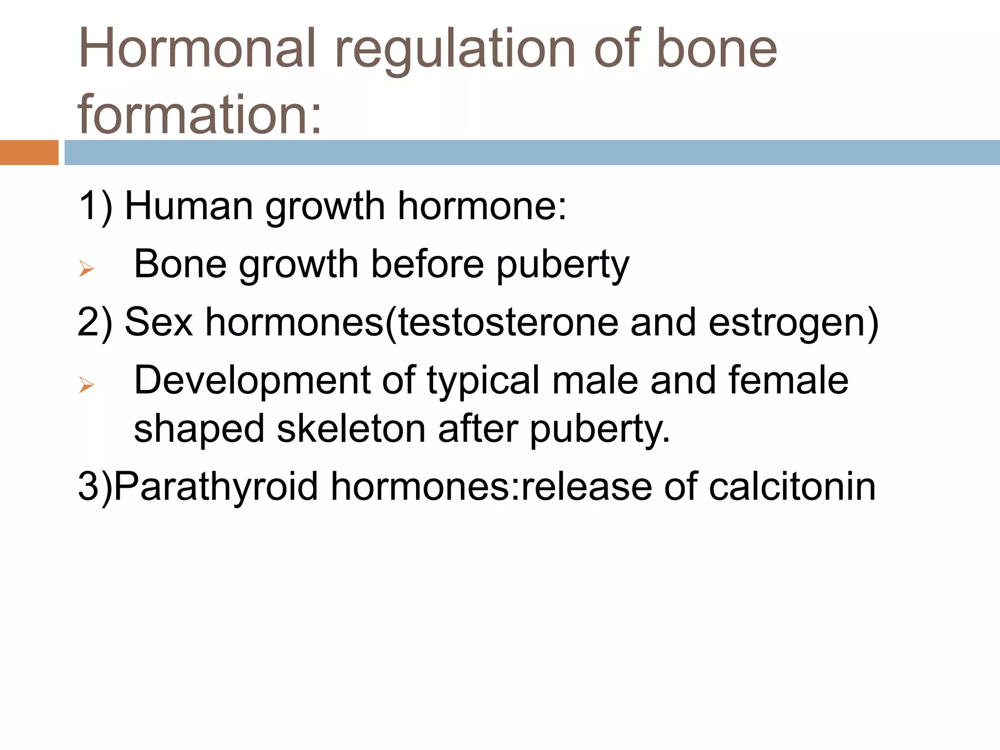 Formation of Bone | PPTX