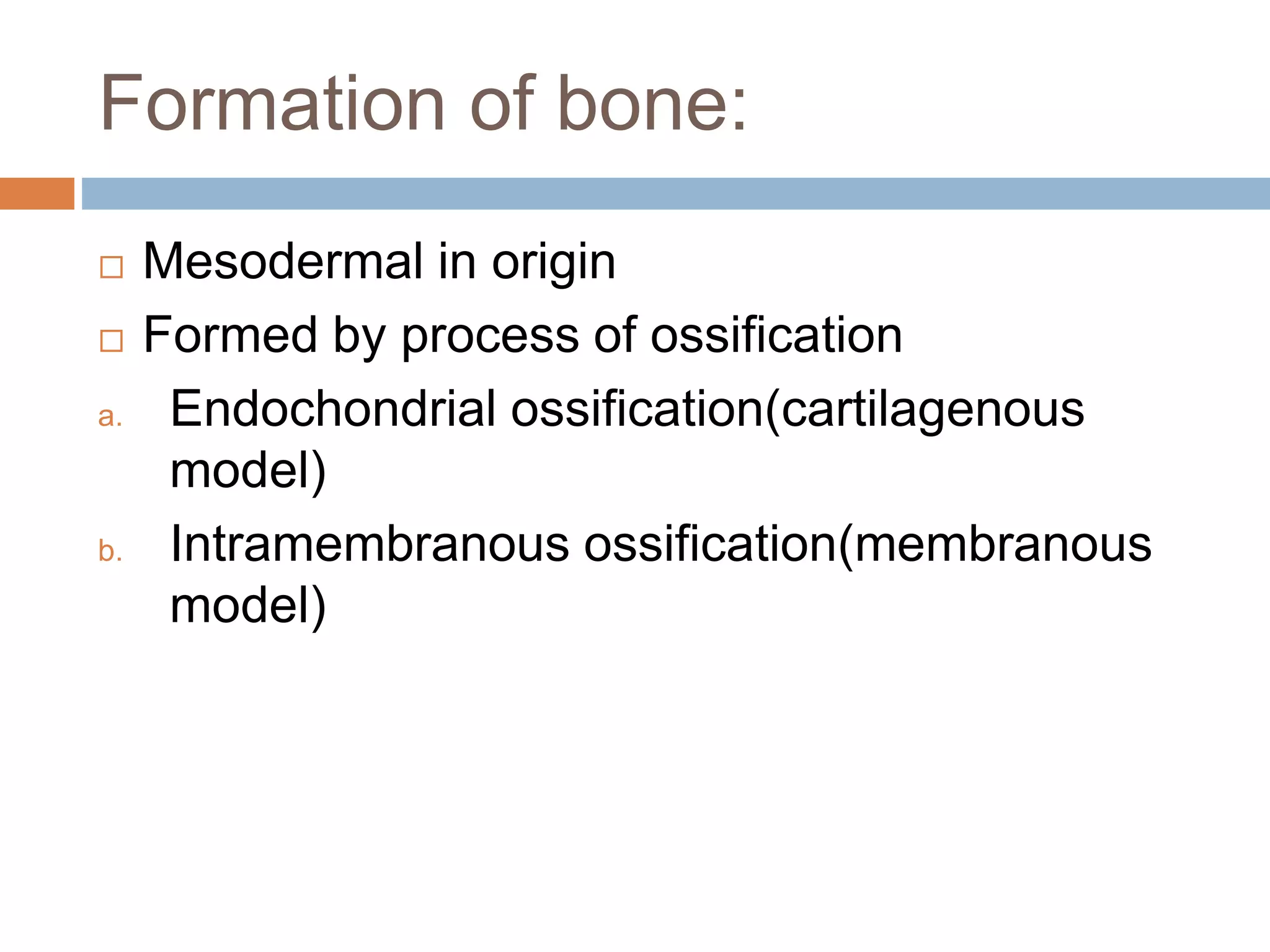 Formation of Bone | PPTX