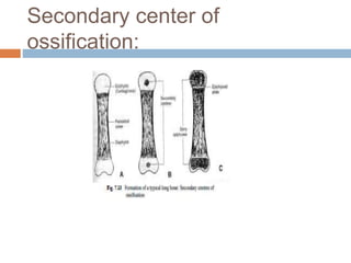 Formation of Bone | PPTX