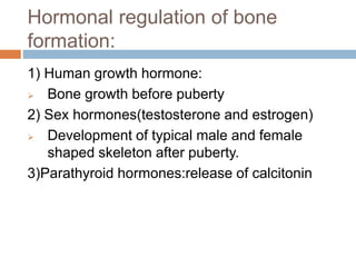 Formation of Bone | PPTX