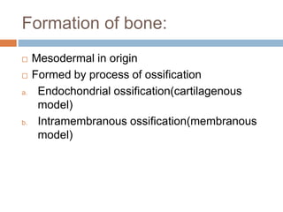Formation of Bone | PPTX
